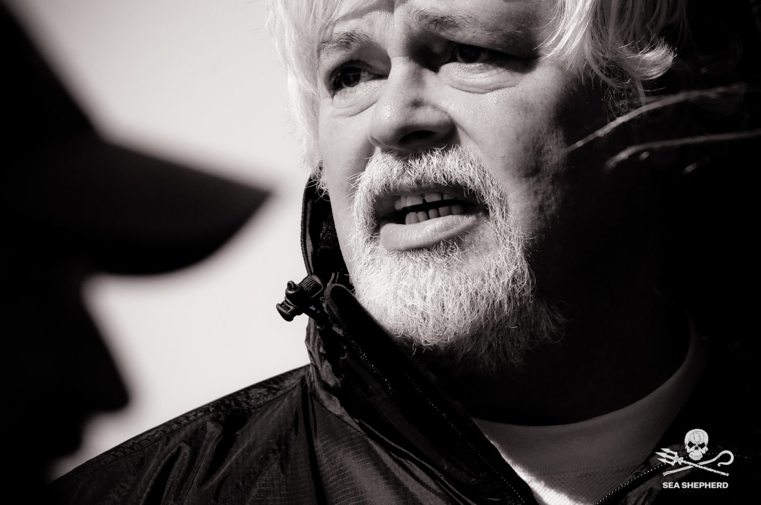 SEA SHEPHERD E PAUL WATSON LUTAM CONTRA INIMIGO INTERNO PARA DEFENDER ...