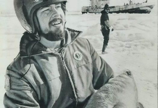 Nota de Esclarecimento: Paul Watson e a Sea Shepherd Brasil - Sea ...